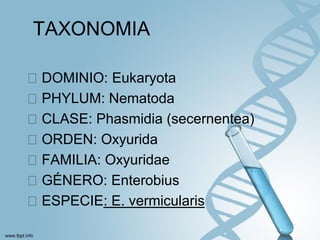 7.0 Enterobius vermicularis | PDF