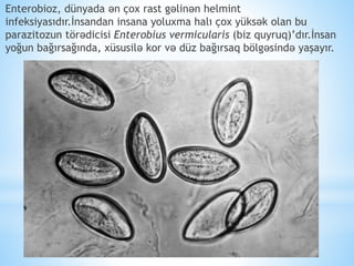 Enterobiozun immun sistemə təsiri | PPT