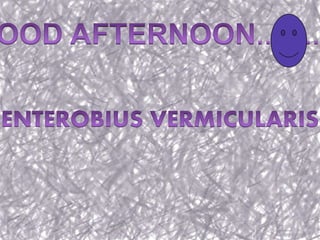 Enterobius Slide