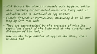 Enterobius vermicularis | PPTX
