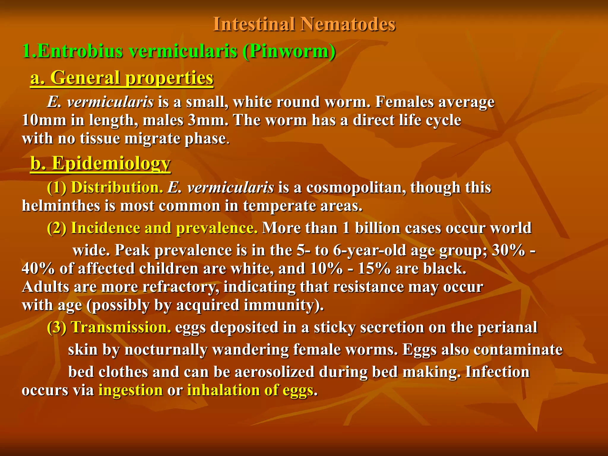 Enterobius vermicularis | PPT