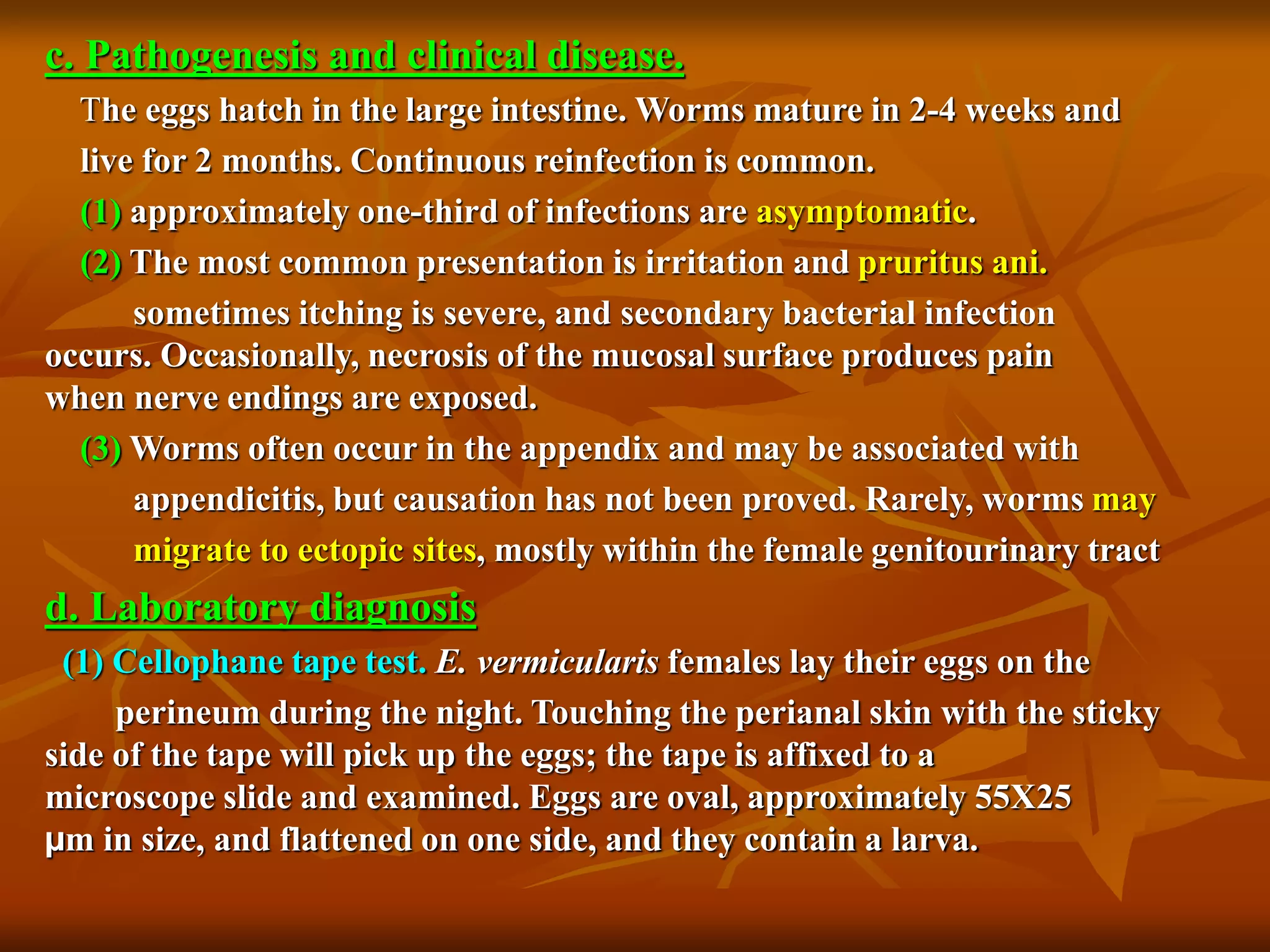 Enterobius vermicularis | PPT