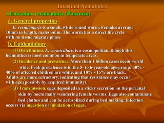 Enterobius vermicularis | PPT