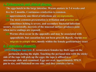 Enterobius vermicularis | PPT