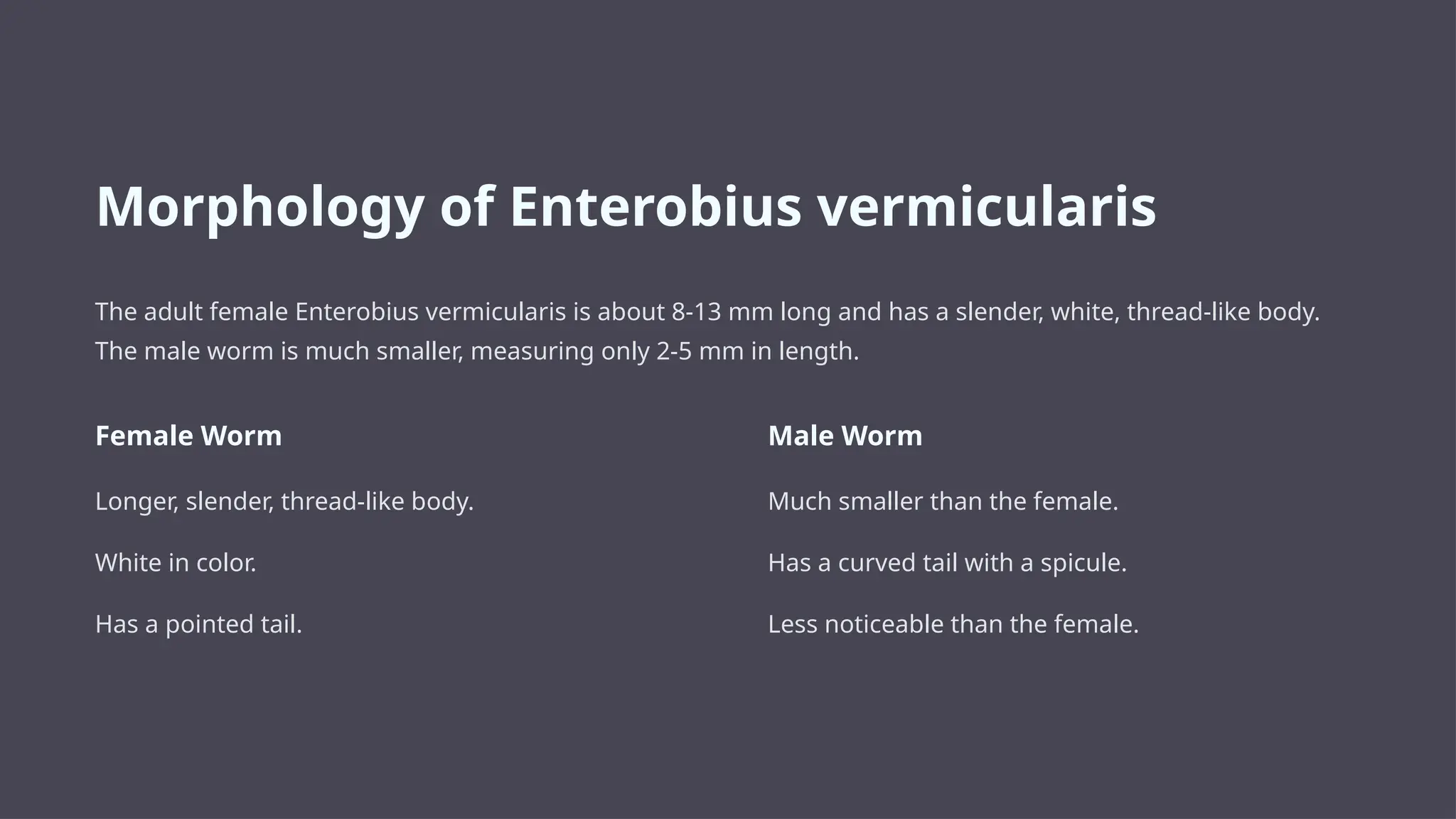 Enterobius-vermicularis-The-Pinworm.pptx