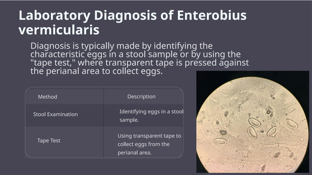 Enterobius-vermicularis-The-Pinworm.pptx | Infectious Diseases ...