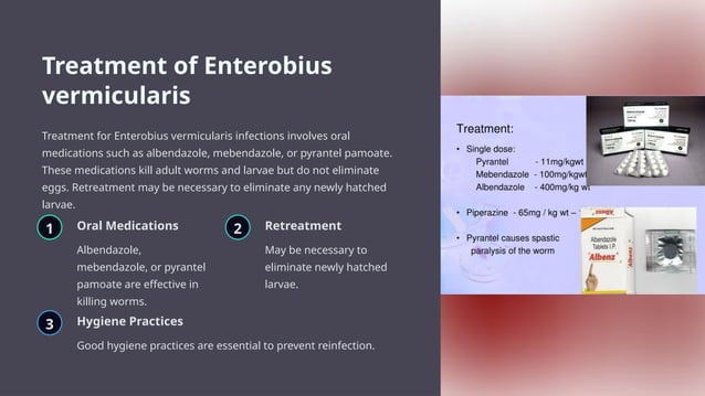 Enterobius-vermicularis-The-Pinworm.pptx | Infectious Diseases ...