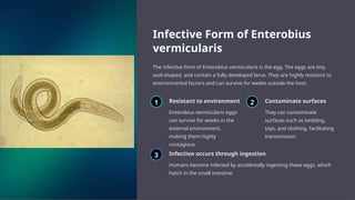 Enterobius-vermicularis-The-Pinworm.pptx