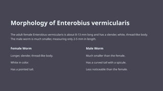 Enterobius-vermicularis-The-Pinworm.pptx | Infectious Diseases ...