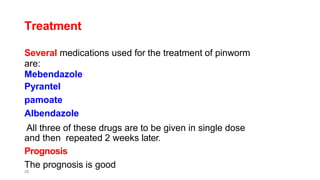 Enterobius Vermicularis In Urine Treatment