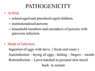 Enterobius and trichuris trichura | PPTX