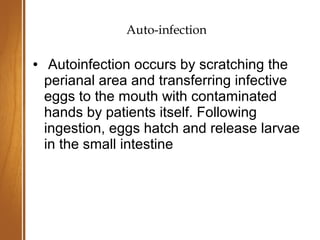 Enterobiusvermicularis amrita kochi | PPT