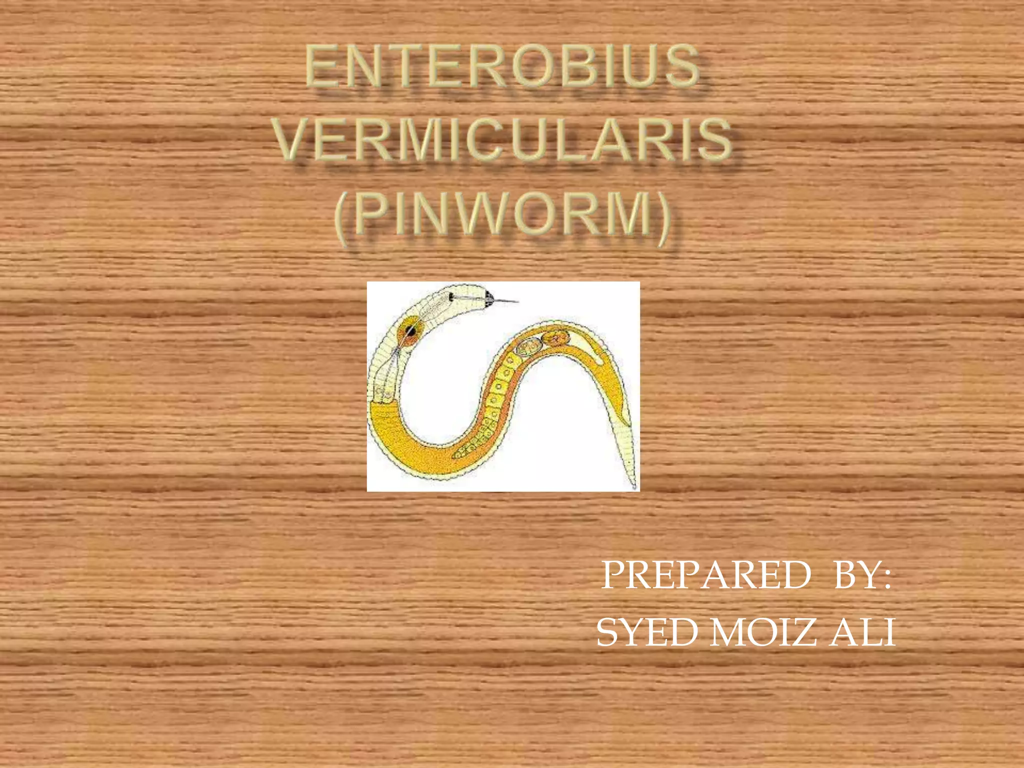 Enterobius vermicularis(PINWORM) | PPTX