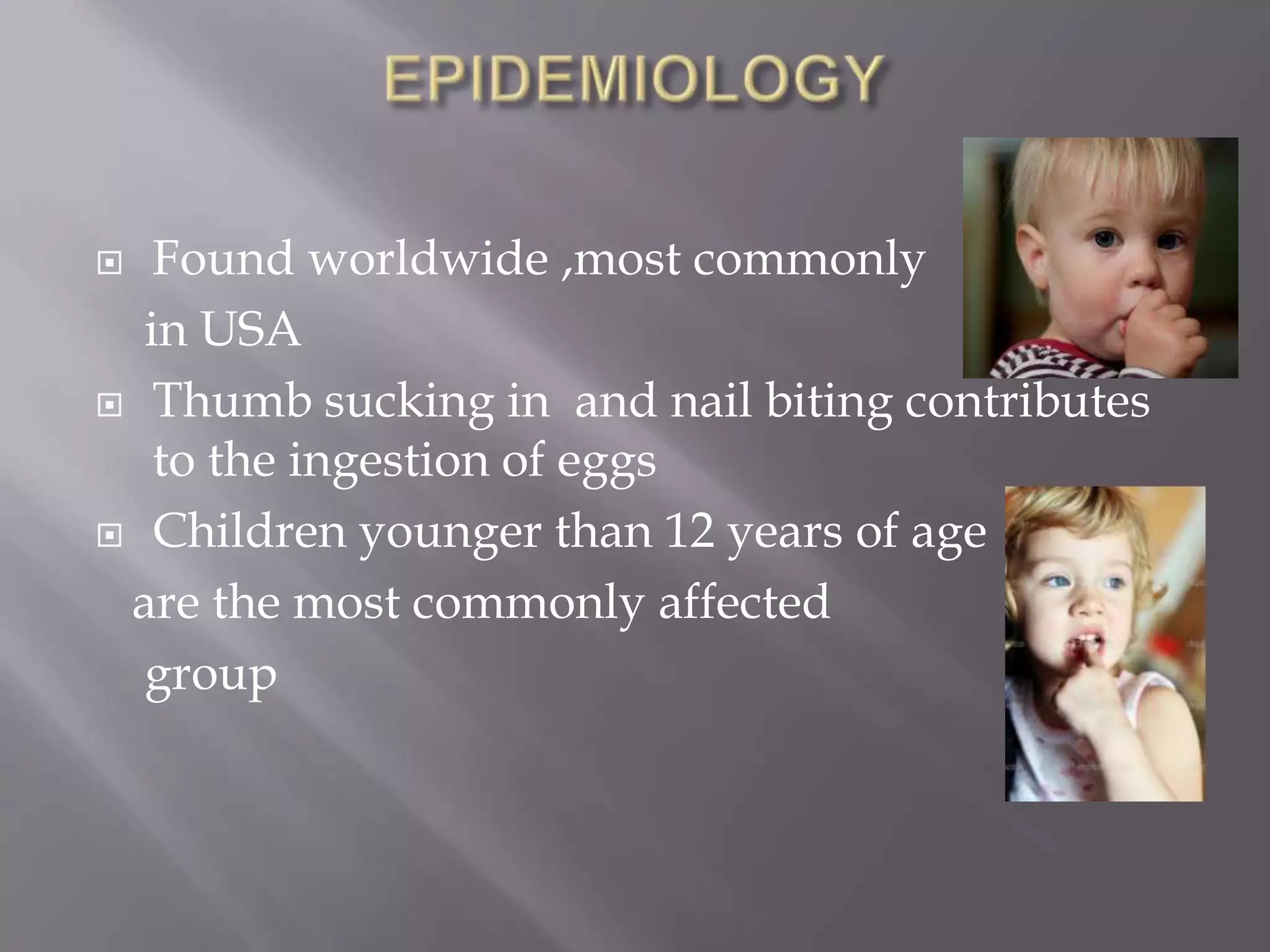 Enterobius vermicularis(PINWORM) | PPTX