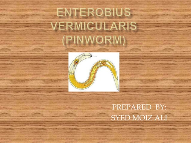 Enterobius vermicularis(PINWORM) | PPTX | Infectious Diseases ...