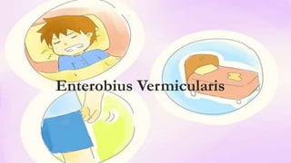 Enterobius vermicularis | PPTX