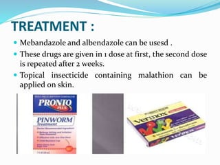 Enterobius vermicularis(pin worm) | PPTX