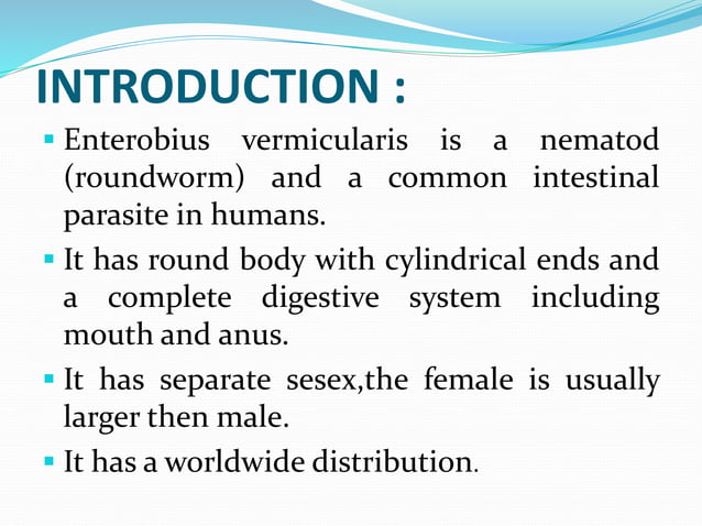 Enterobius vermicularis(pin worm) | PPTX | Infectious Diseases ...