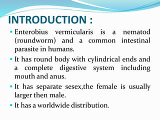 Enterobius Vermicularis Slide