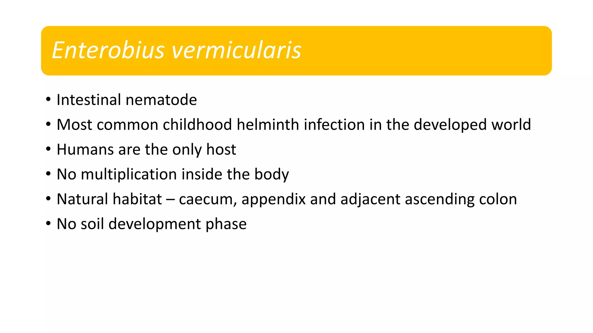 Enterobius vermicularis | PPTX