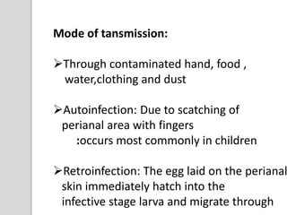 Enterobius vermicularis | PPTX