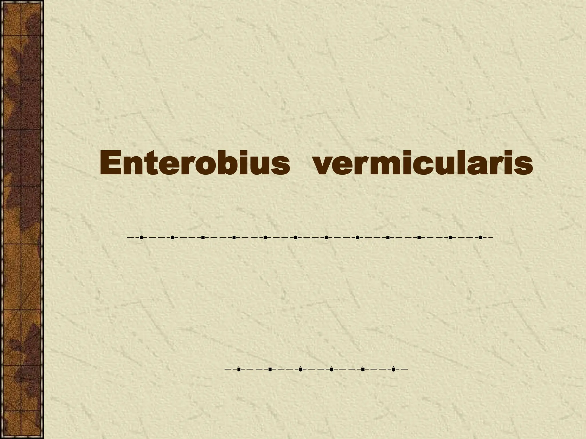 Parasitology Enterobius vermicularis.ppt