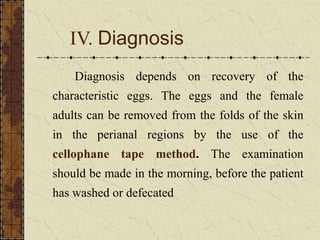 Parasitology Enterobius vermicularis.ppt