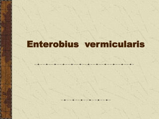 Parasitology Enterobius vermicularis.ppt
