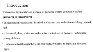 ENTEROBIUS VERMICULARIS endoparasite.pptx