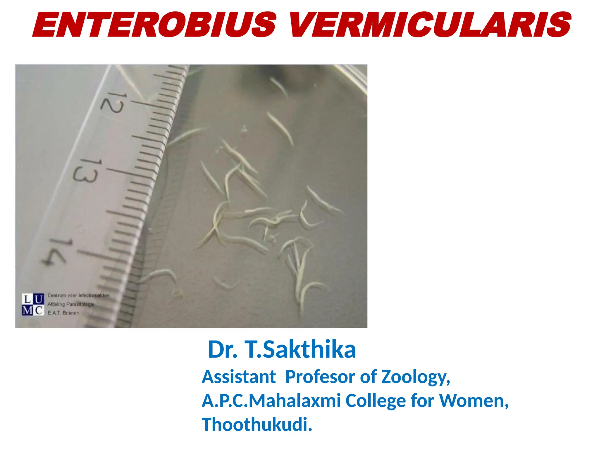 ENTEROBIUS VERMICULARIS. Human parasitic infection and its health impacts | PPT