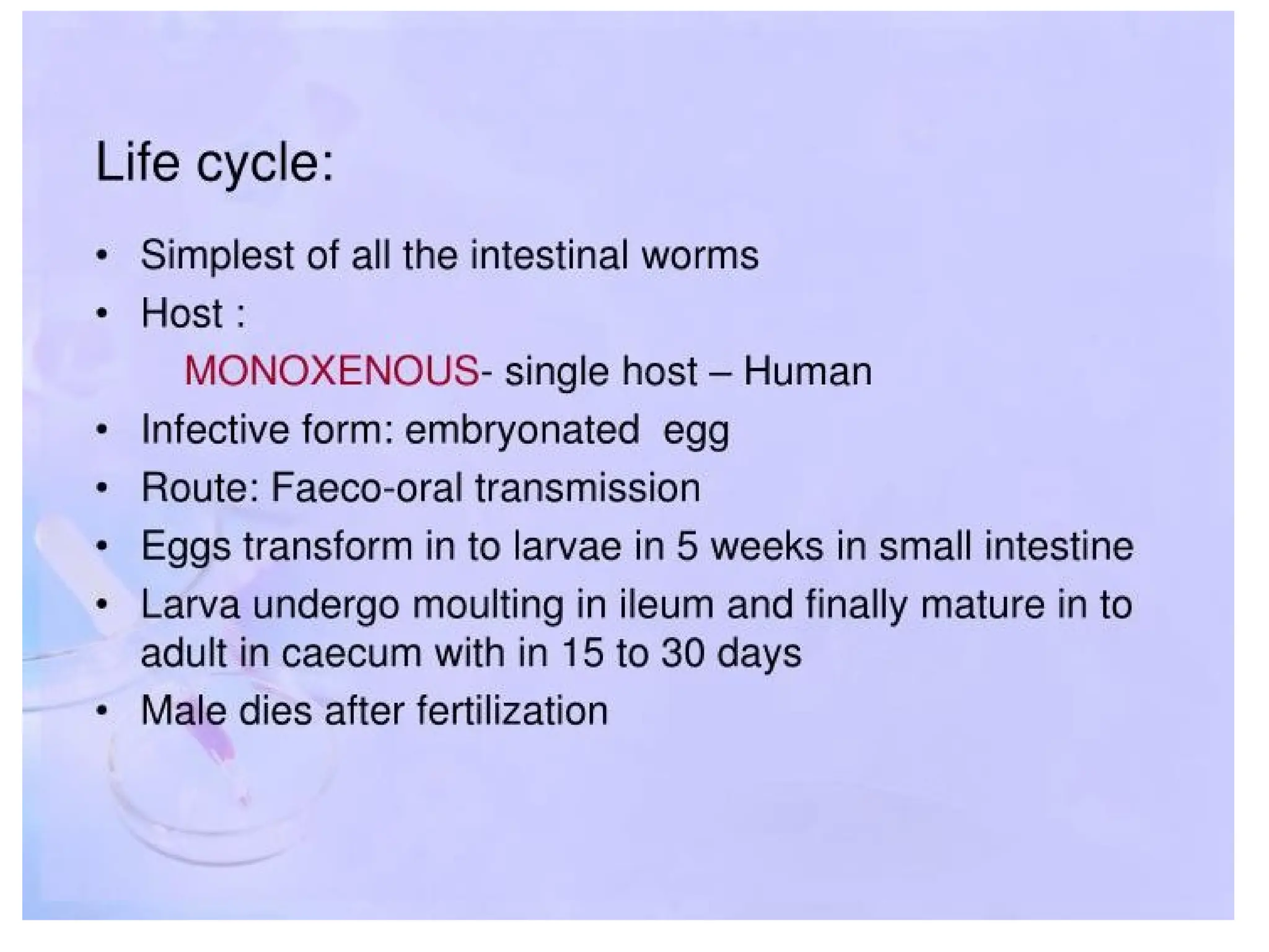 ENTEROBIUS VERMICULARIS. Human parasitic infection and its health ...