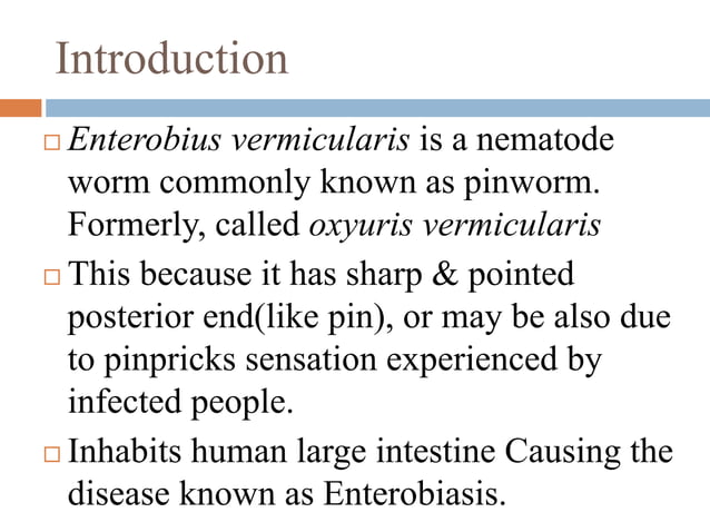 Enterobius vermicularis