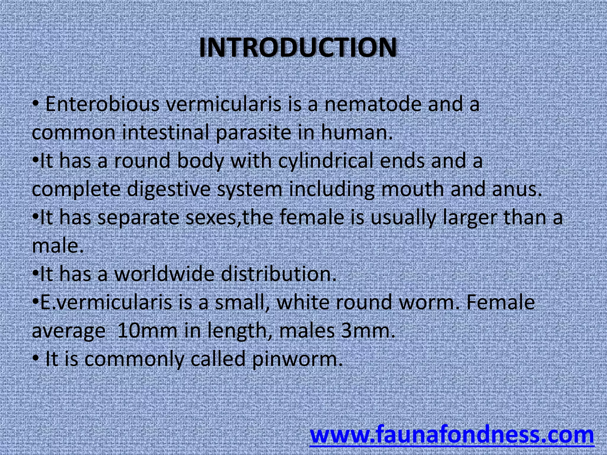 Enterobius vermicularis by faunafondness | PPTX