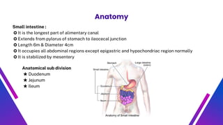 Enteroclysis procedure in radiology department | PDF