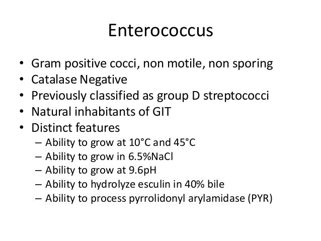 Enterococci