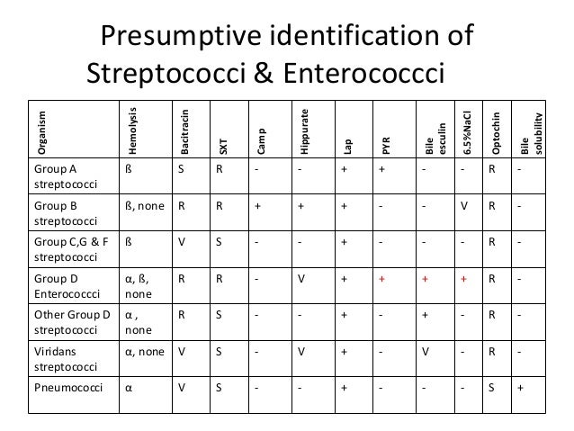 Enterococci