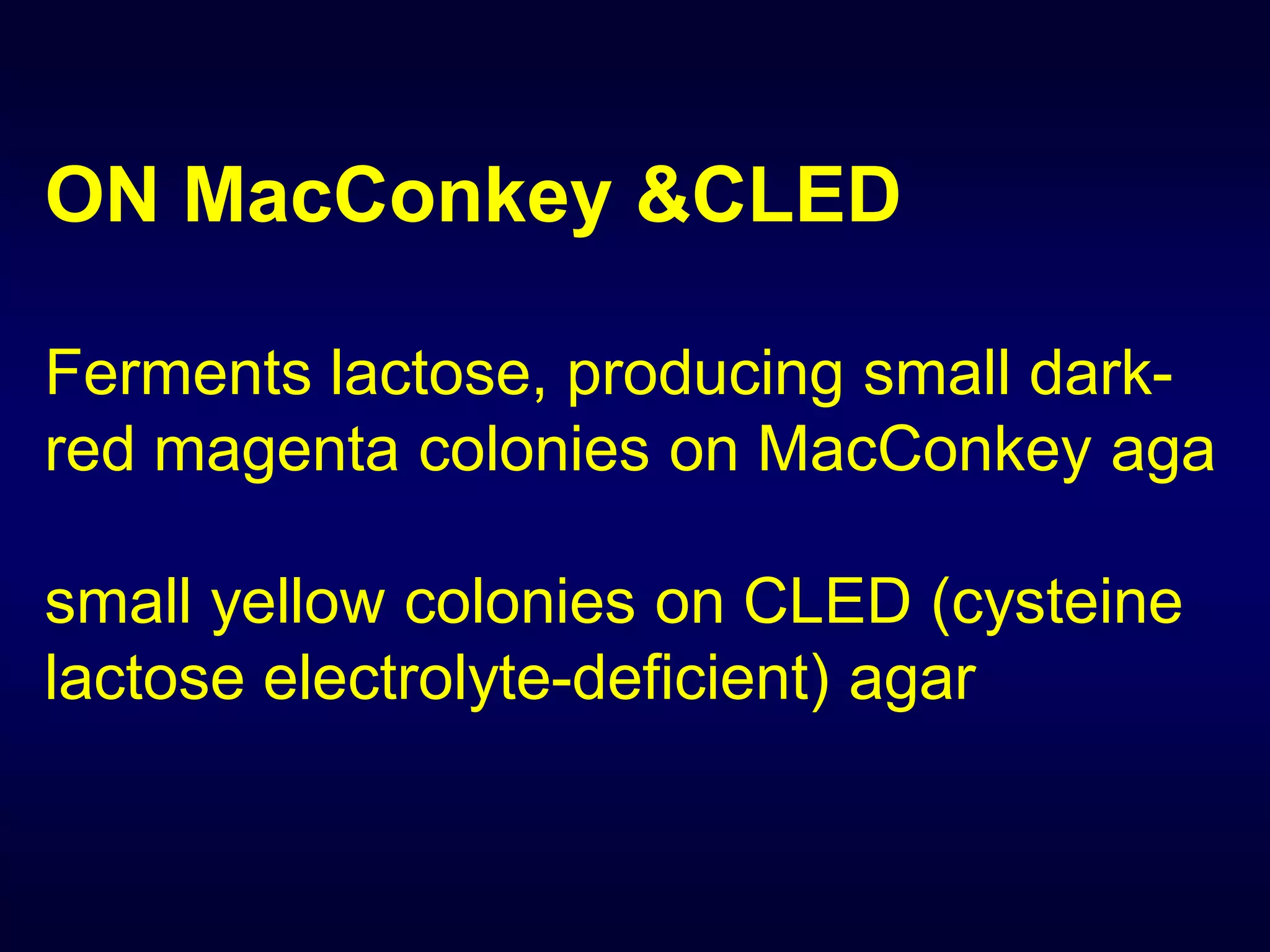 Enterococci ppt mahadi | PDF
