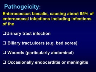 Enterococci ppt mahadi | PDF