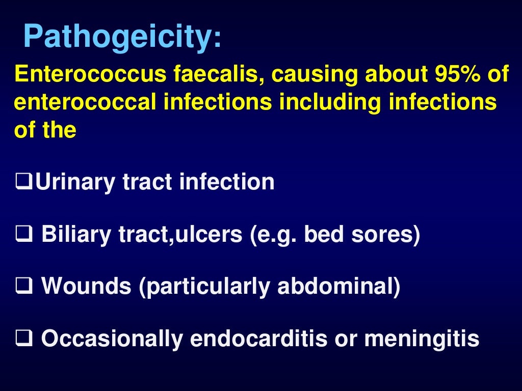 Enterococci ppt mahadi
