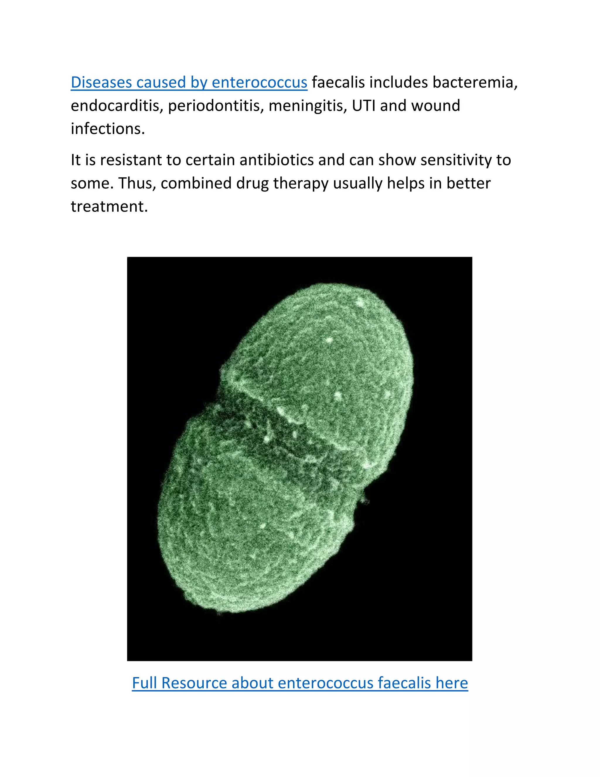 Enterococcus faecalis | PDF