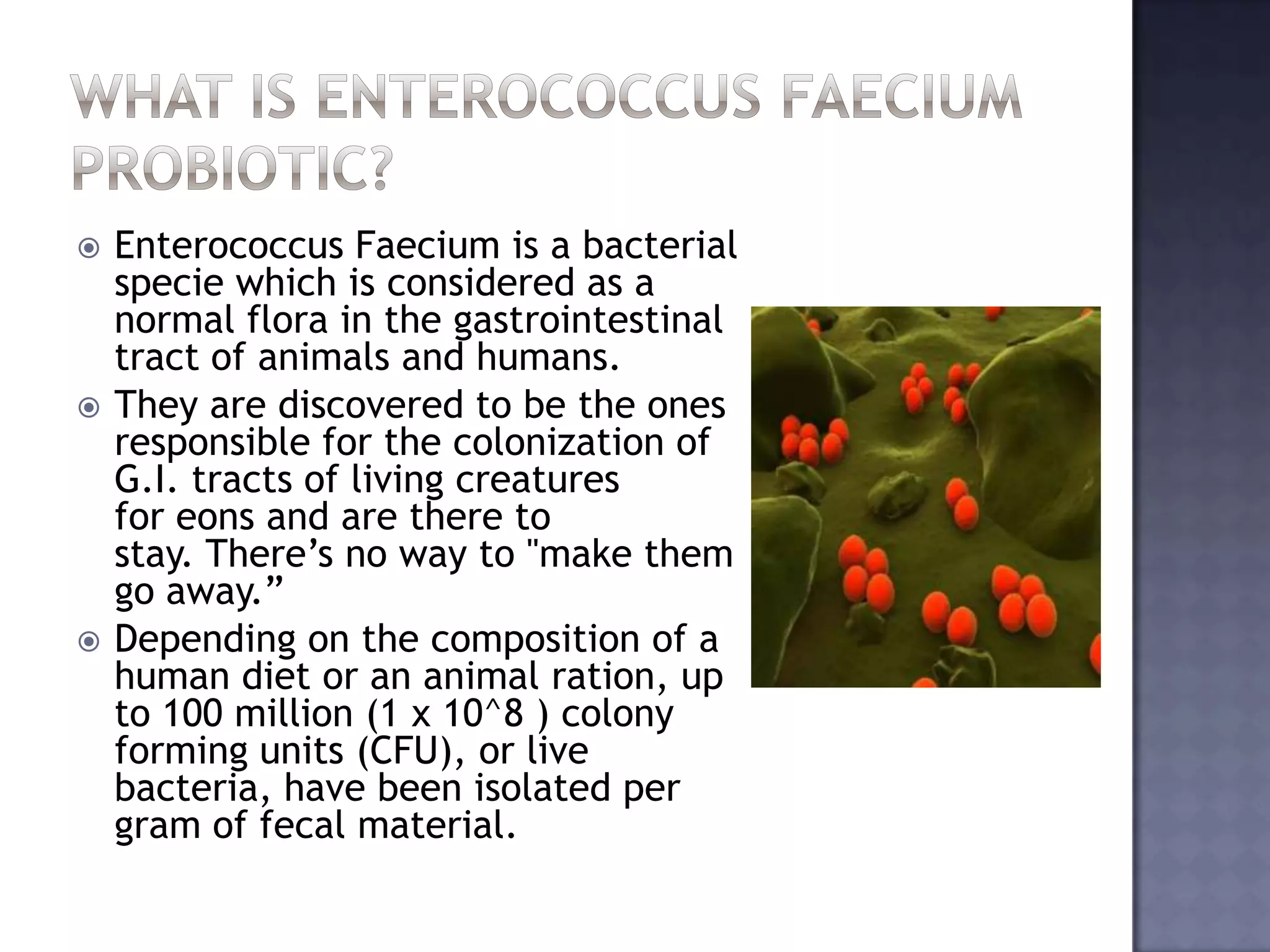 Enterococcus Faecium Probiotic Pptx