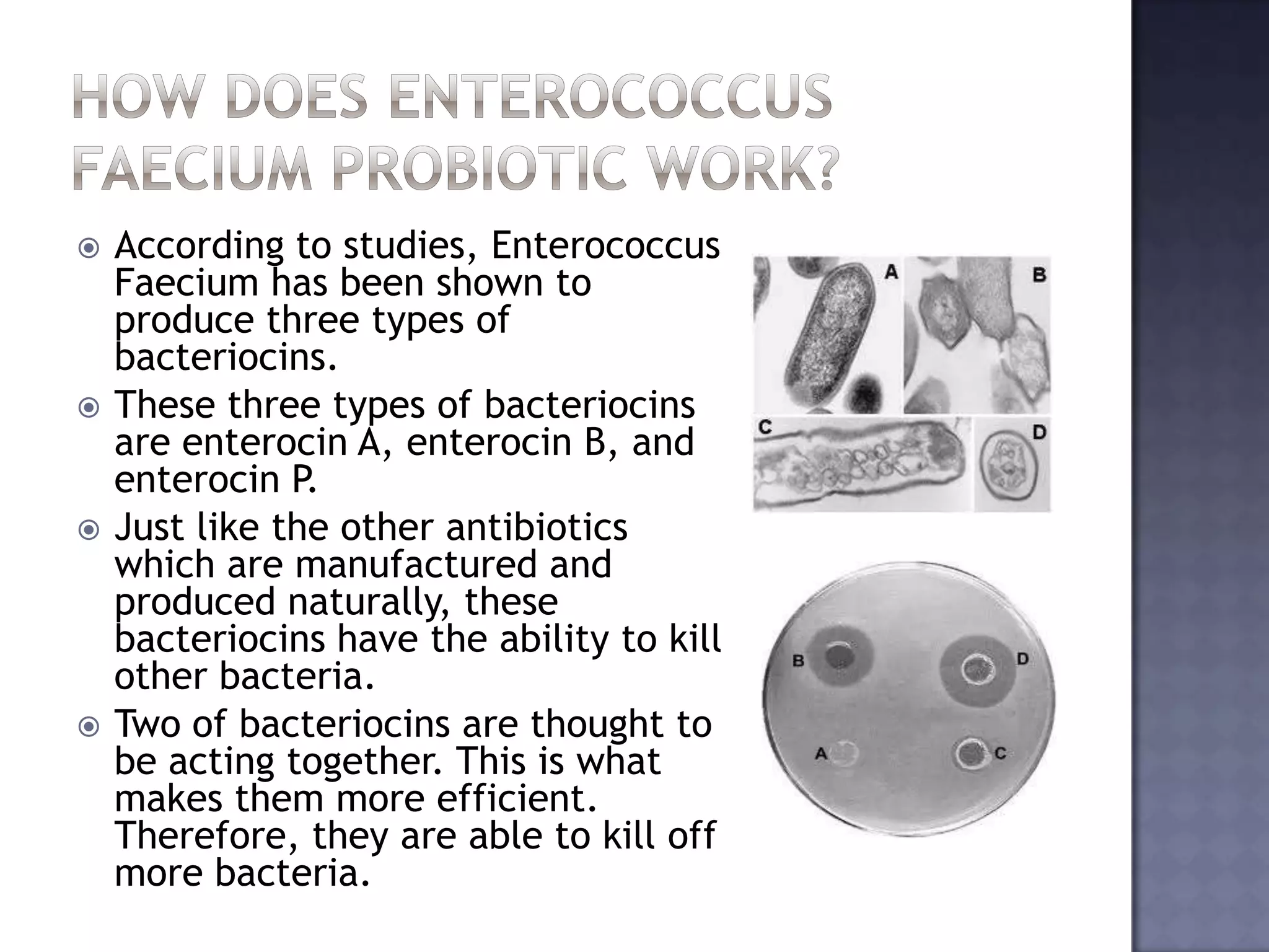 Enterococcus Faecium Probiotic | PPTX