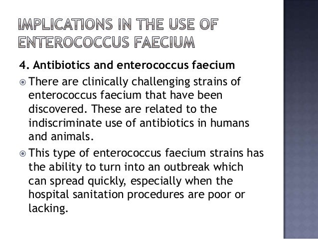 Enterococcus Faecium Probiotic