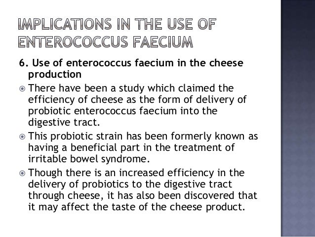 Enterococcus Faecium Probiotic