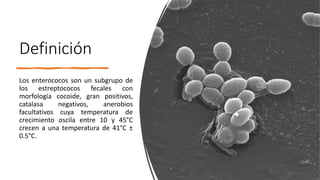 Enterococos tecnica.pptx