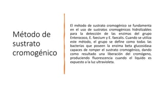 Enterococos tecnica.pptx