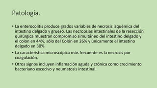 Enterocolitis | PPTX