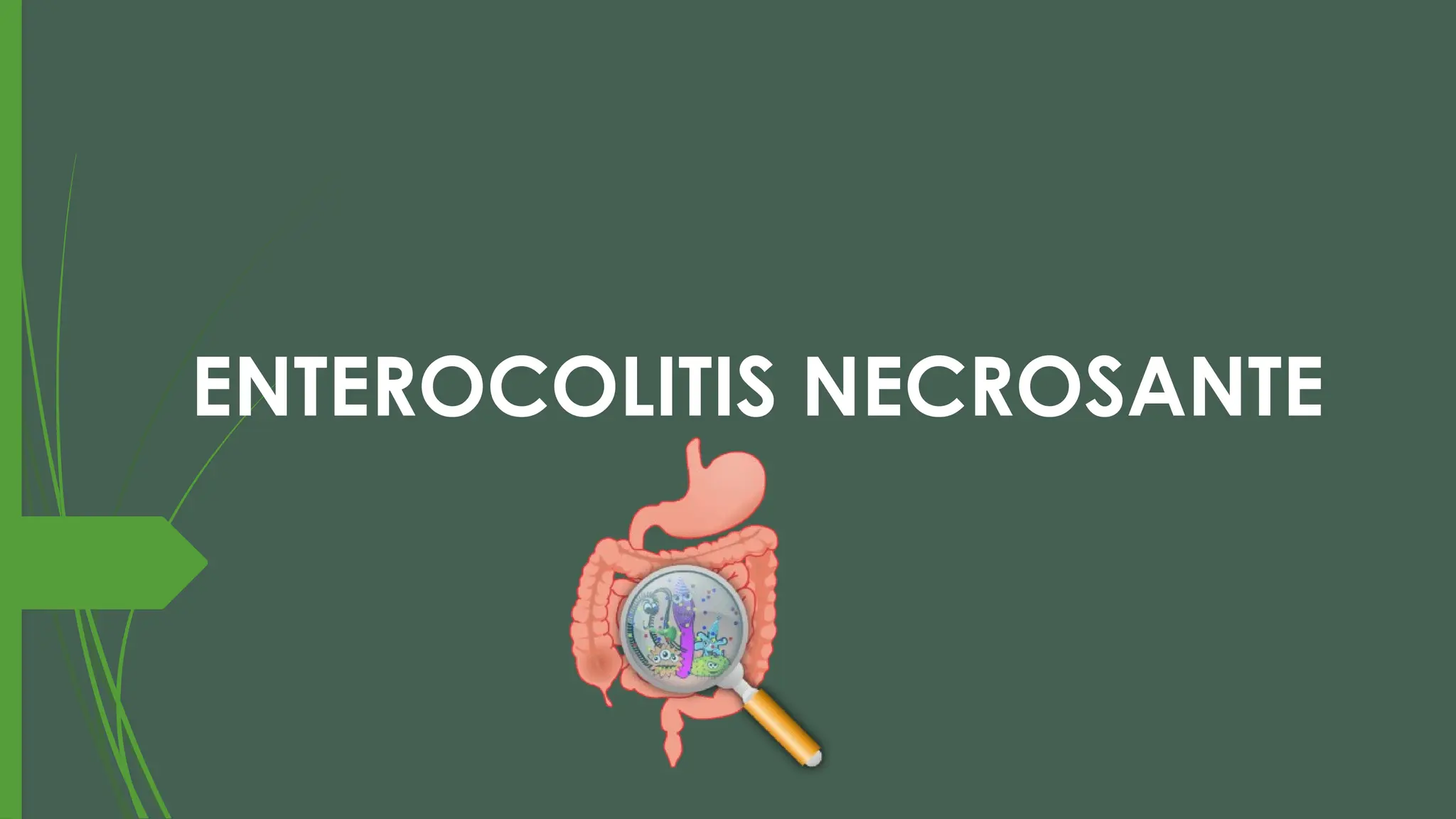 Enterocolitis necrosante, microbiologia pptx | PPTX
