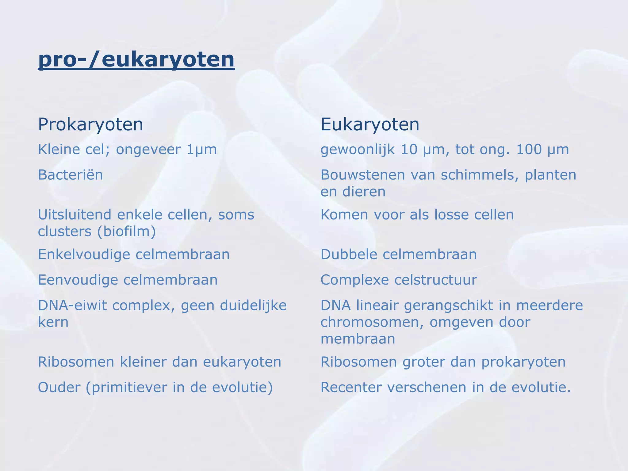Enterohemorragische Escherichia coli (O157:H7) (shared using http ...