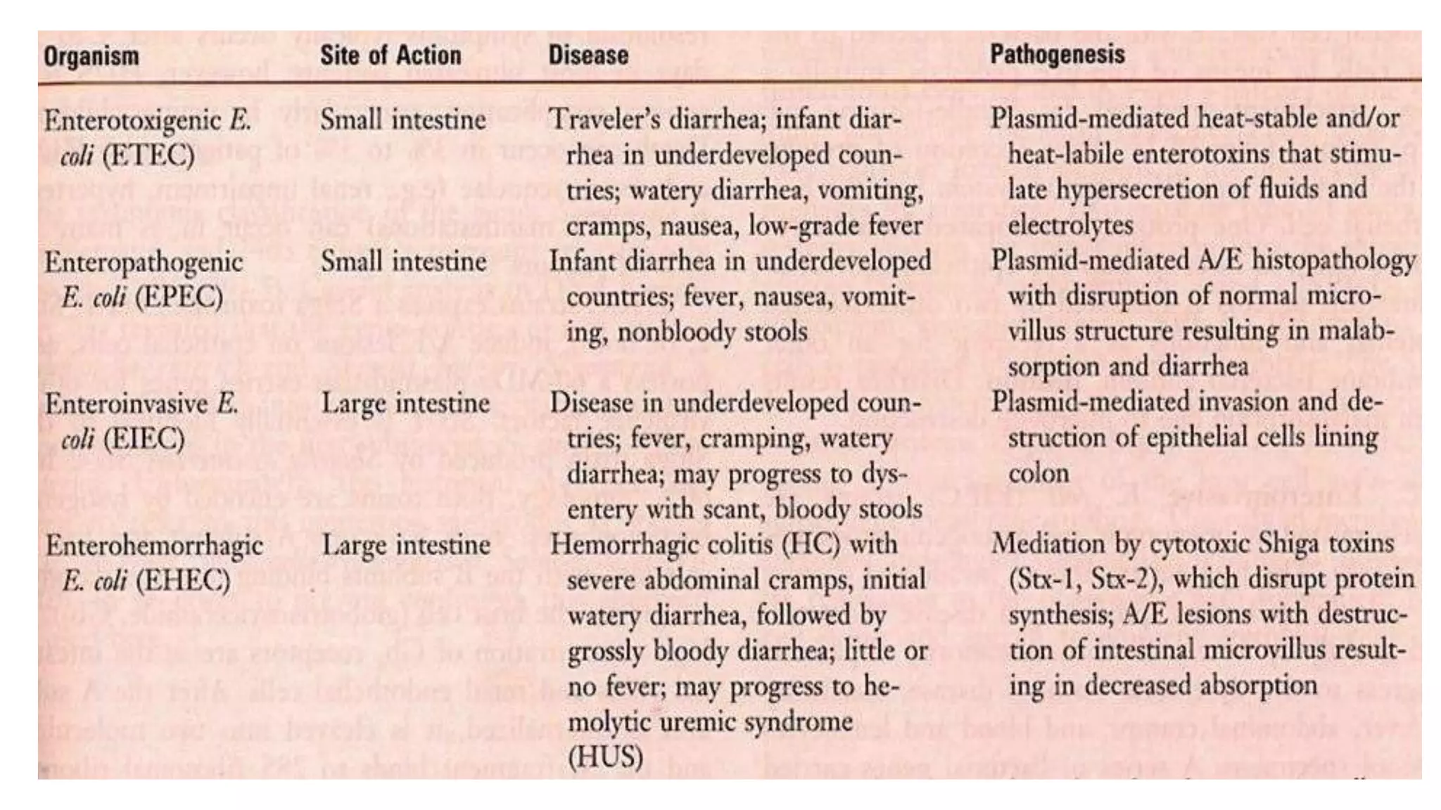 Enterohemorrhagic escherichia coli infections | PPTX